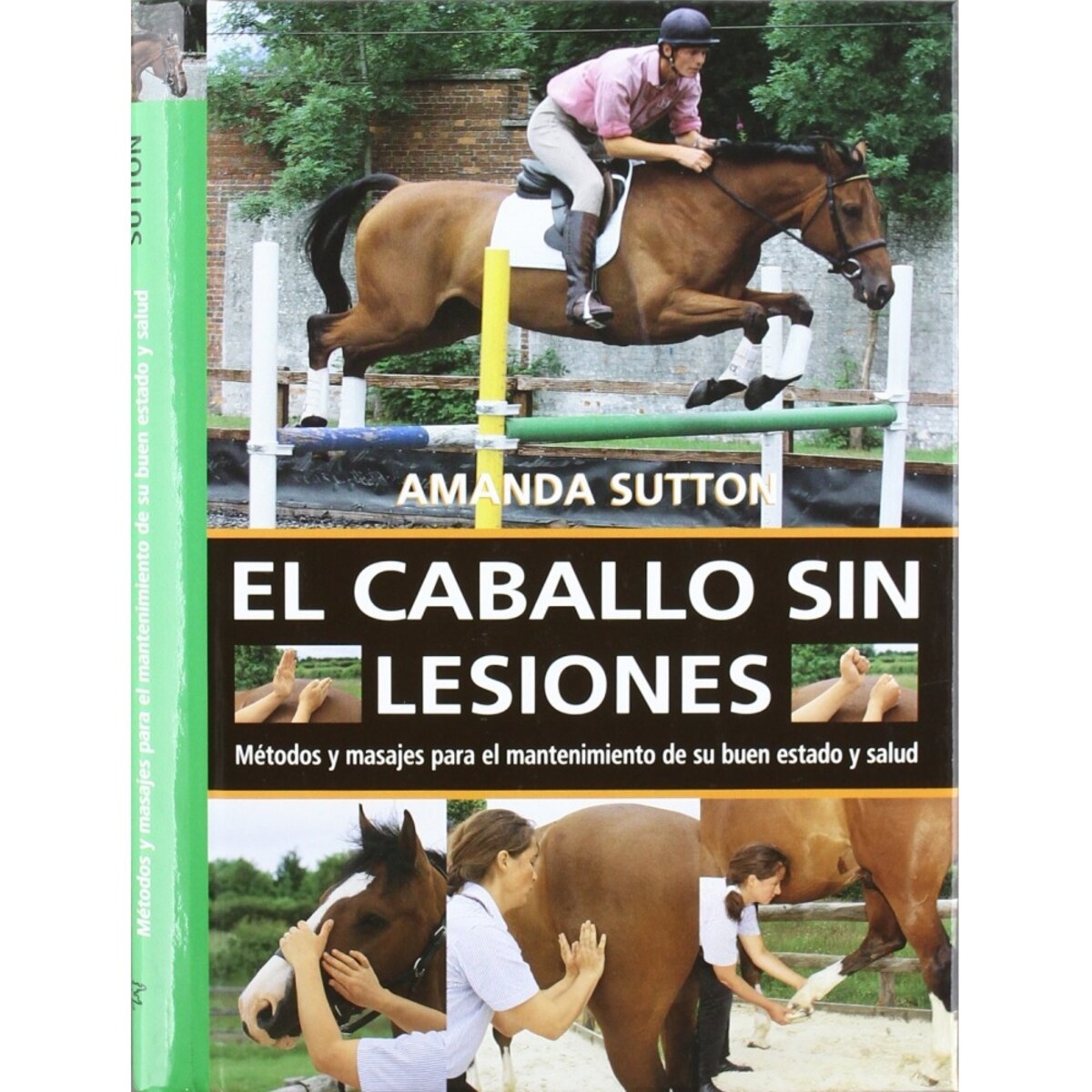 El caballo sin lesiones (Tapa dura) · Acanto · El Corte Inglés