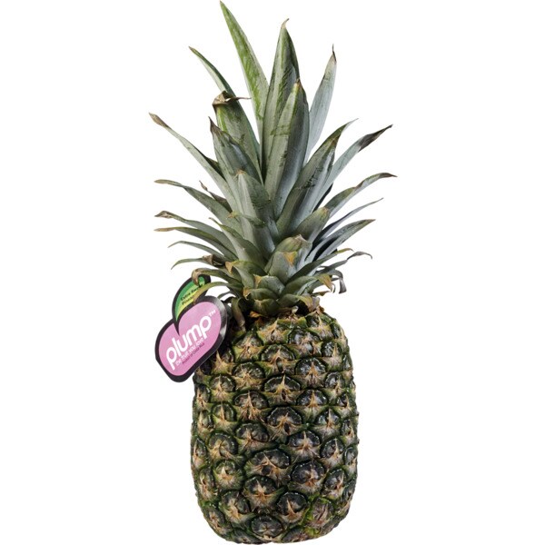 Comprar Abacaxi Costa Rica Peso Aproximado unidade 1,9 kg ...