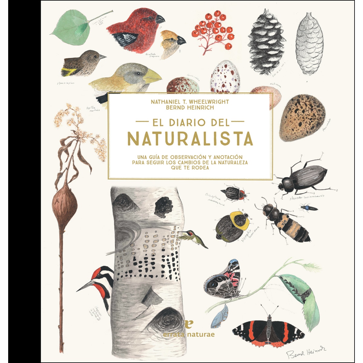 El Diario Del Naturalista: Una Guía De Observación Y Anotación Para ...