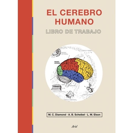 El cerebro humano: Libro de trabajo (Tapa blanda con solapas) · ARIEL ...