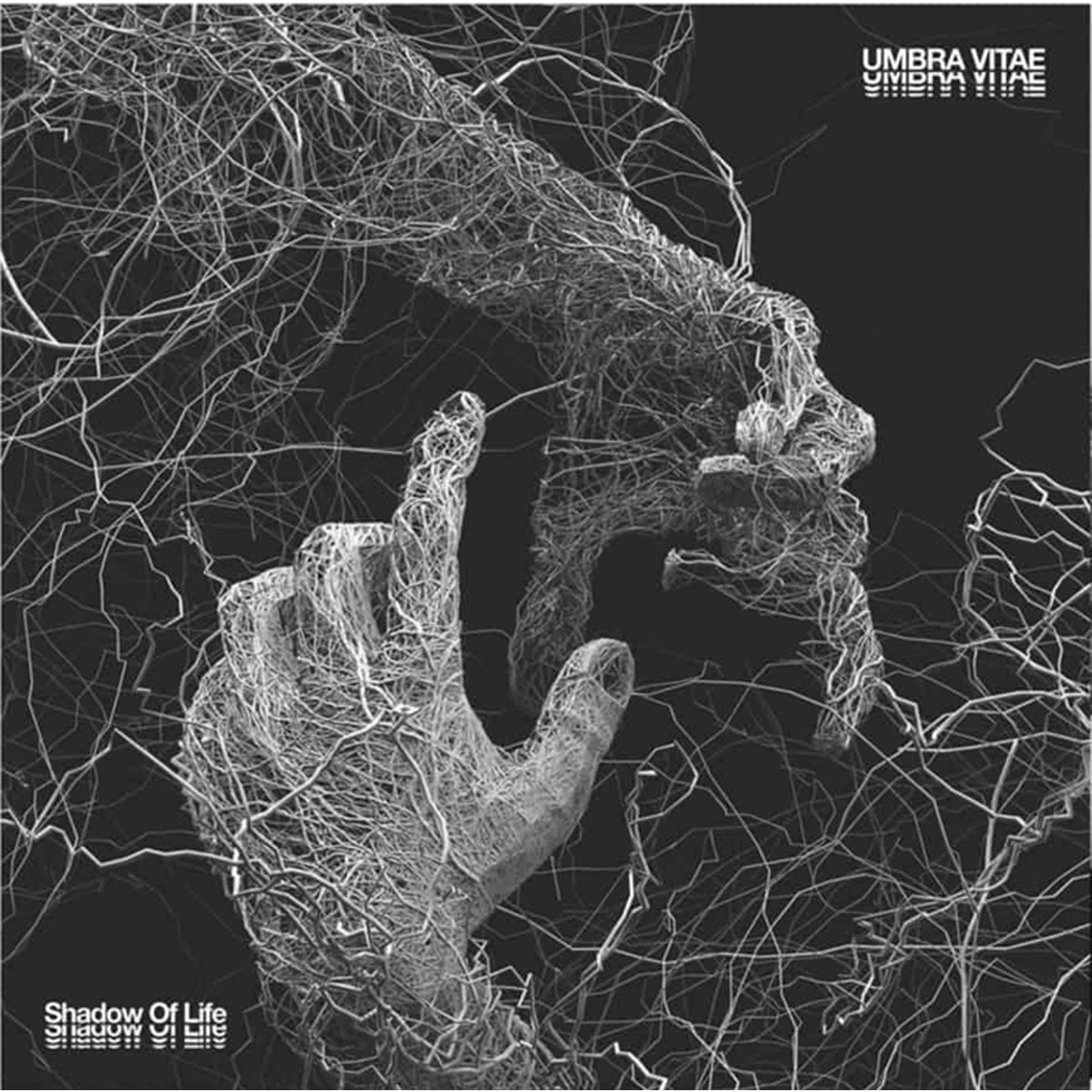Shadow Of Life (Edición Color) (LP-Vinilo) · DEATHWISH INC · El Corte ...