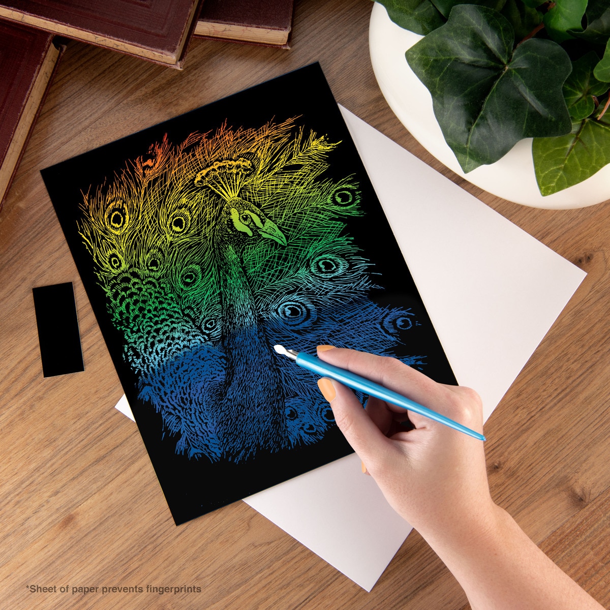 Lámina grabado Engraving Art Arcoiris dibujo Peacock Royal & Langnickel ...