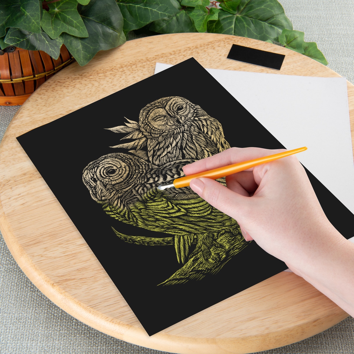 Lámina grabado Engraving Art oro dibujo Búhos Royal & Langnickel ...