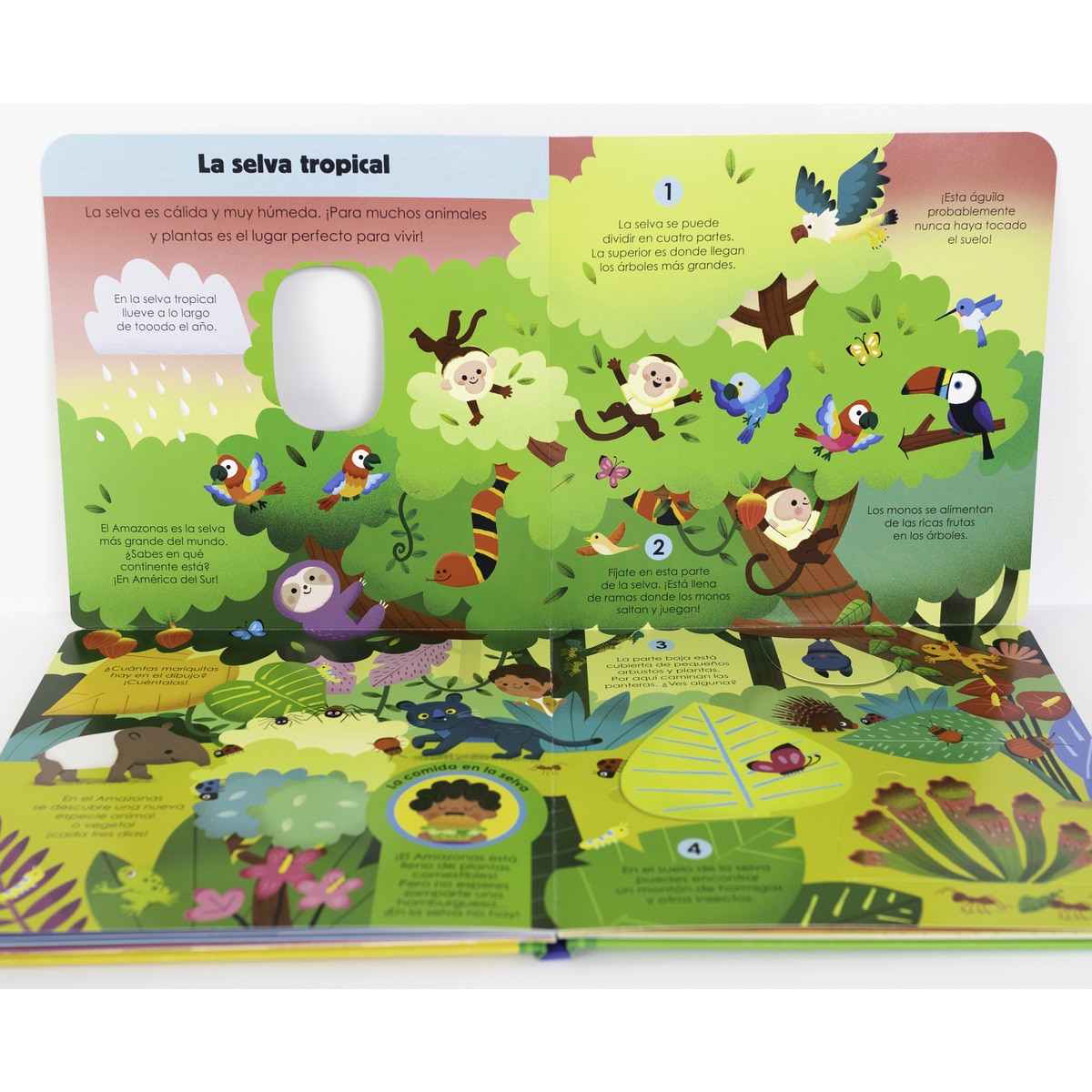 Mi primer libro sobre el planeta Tierra · BRUÑO · El Corte Inglés