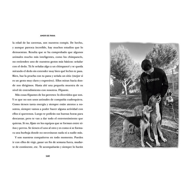 Amor de pana: Cómo construyendo mi gran sueño, un refugio de animales, descubrí el amor más ...