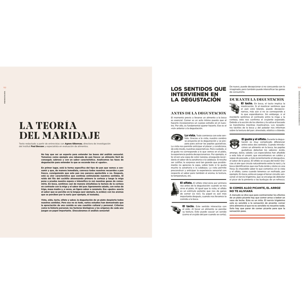 Fermentación Historia Usos Y Recetas Col Col Ediciones El Corte