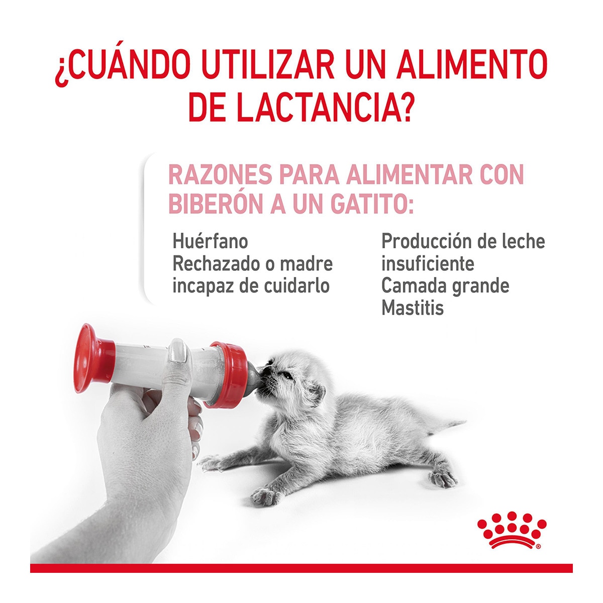 Leche para gatitos Royal Canin Babycat milk 300 g · Royal Canin · El ...