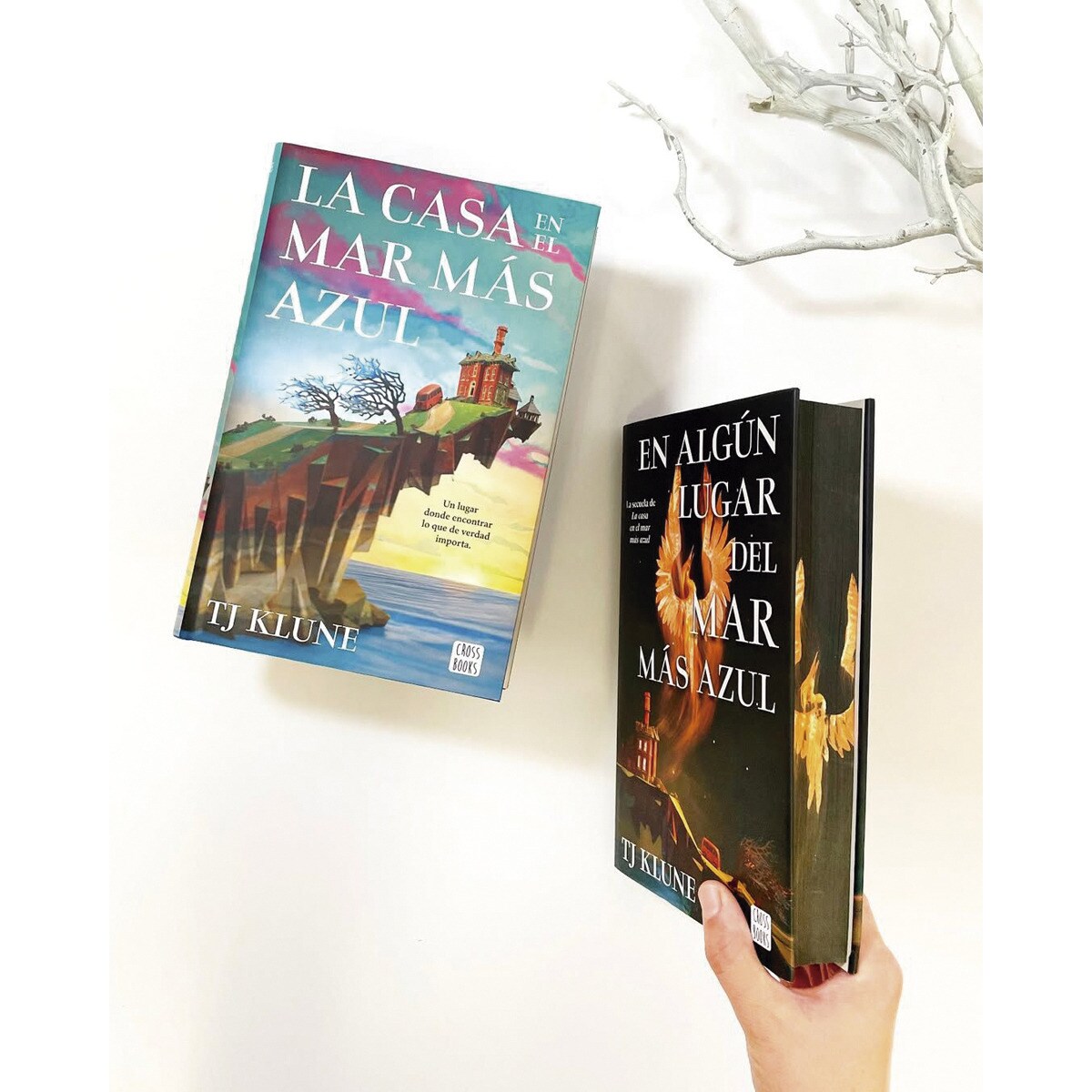 La casa en el mar más azul. Edición especial: Edición especial con ...