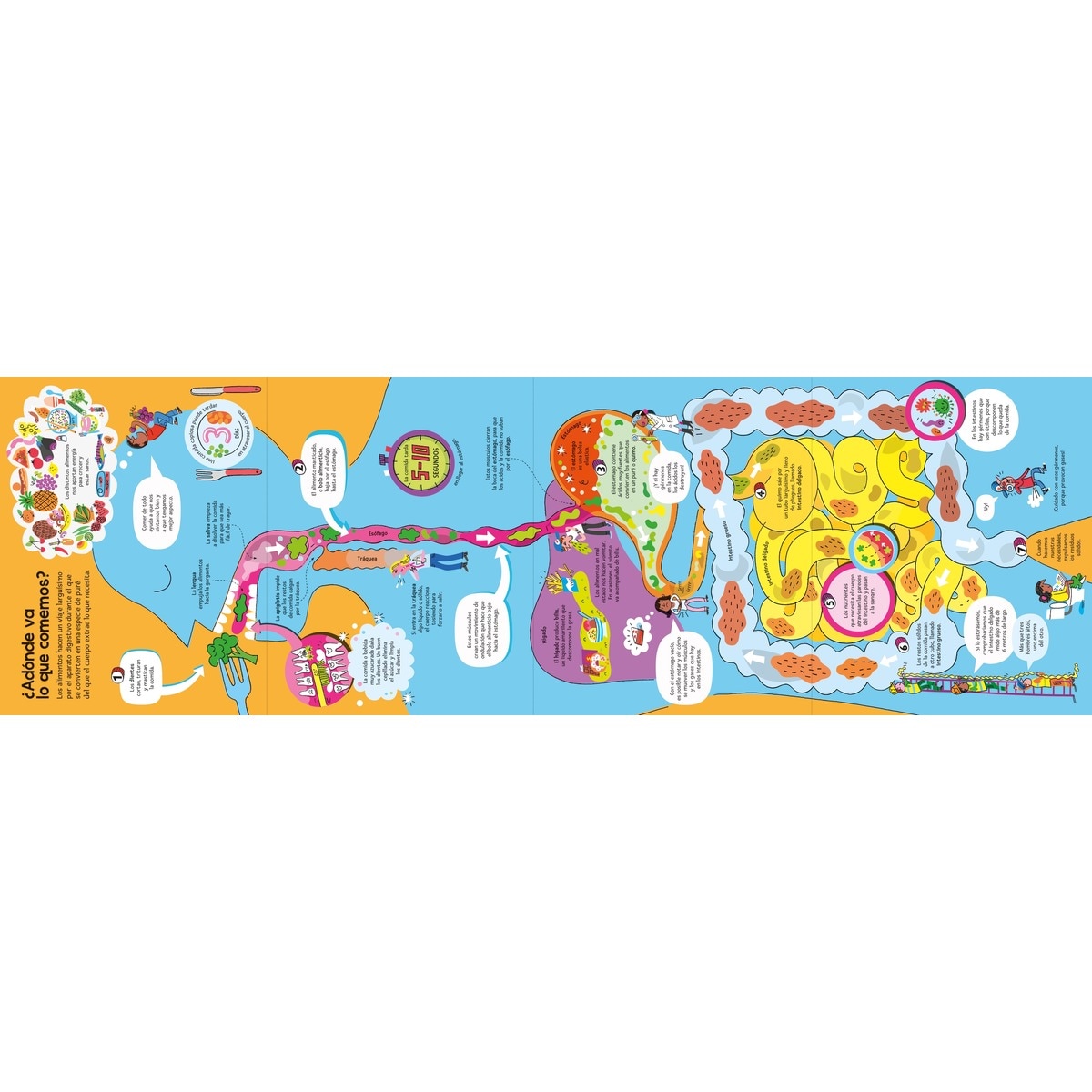 El gran libro del cuerpo humano (Tapa dura) · USBORNE · El Corte Inglés
