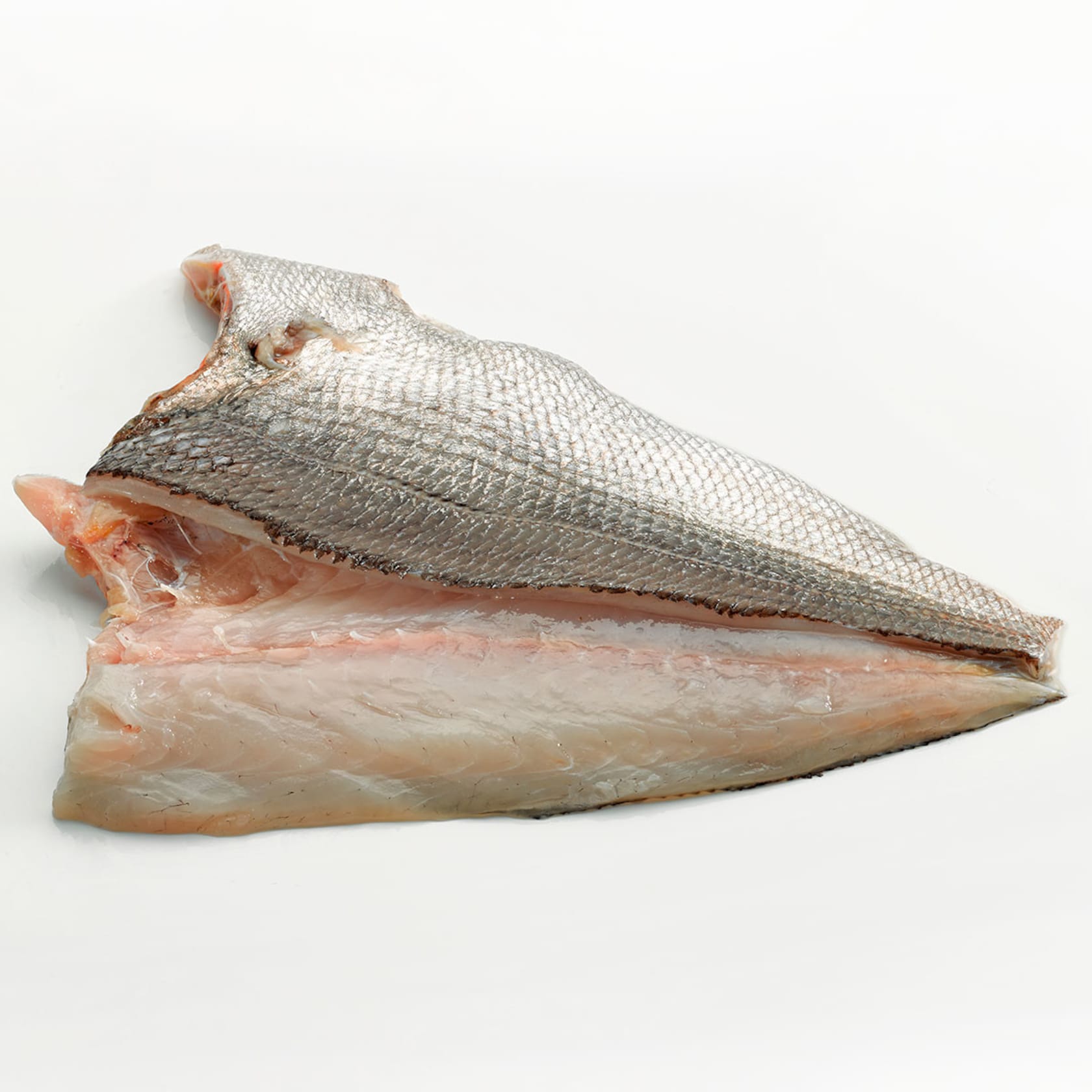 Comprar Corvina nacional ASC peso aproximado pieza 1,5-2,5 kg ...